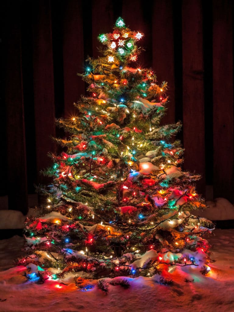 Past Media - Christmas Lane